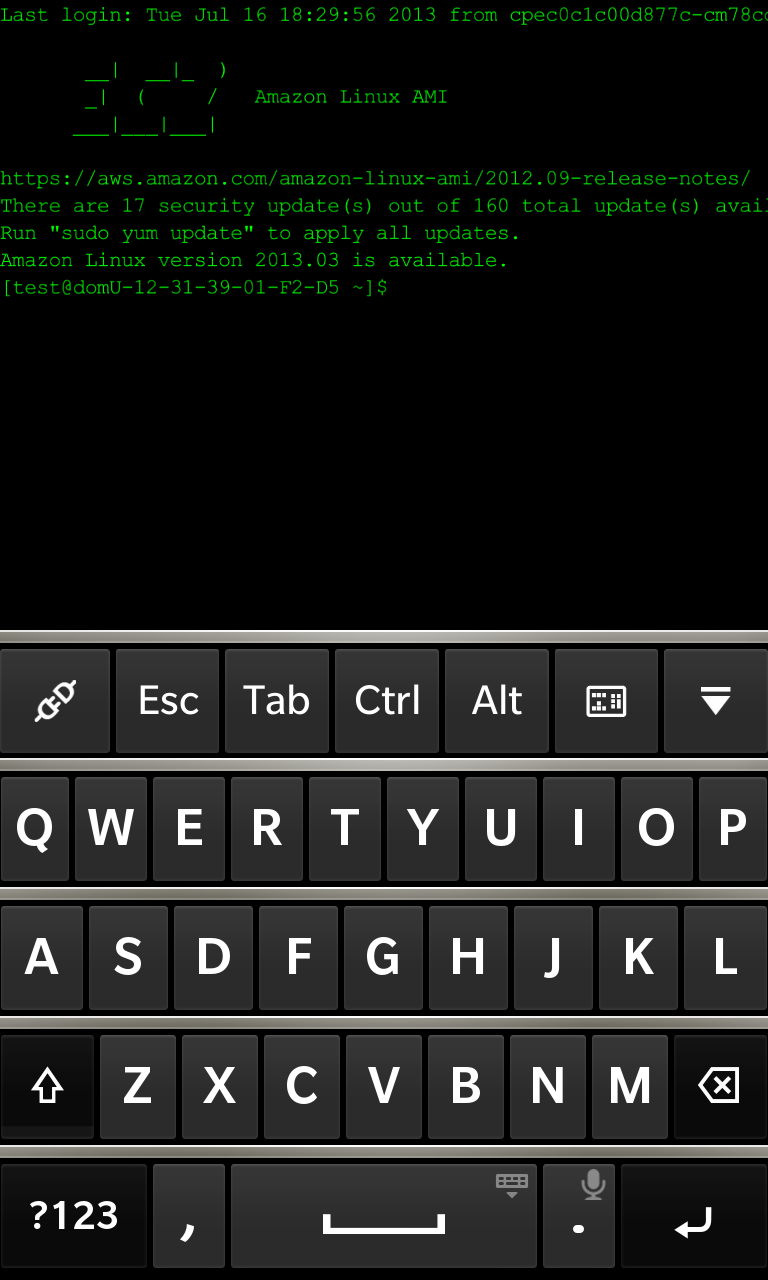 SSH Client for iOS - ITmanager.net
